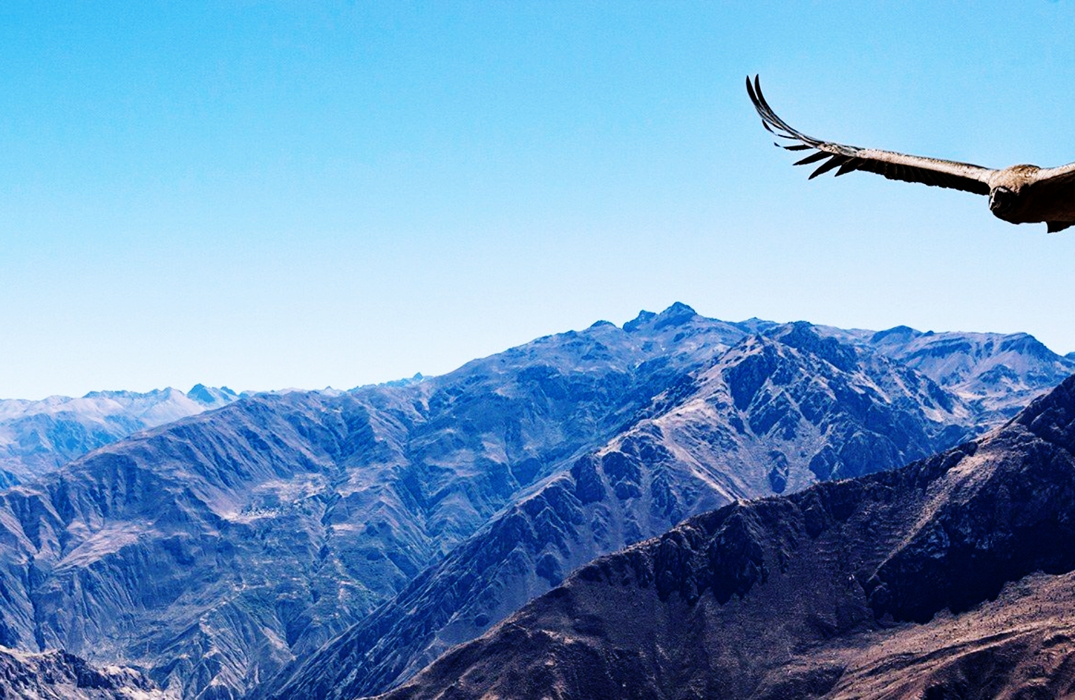 Condor Canyon Chonta – 1 Day - Gift Adventure